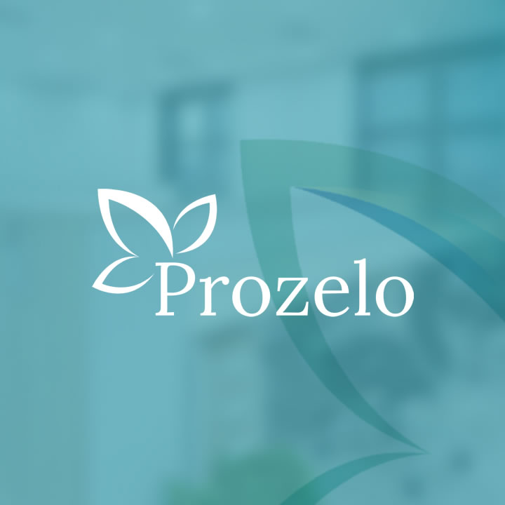 Prozelo - Limpeza profissional para empresas que brilham!